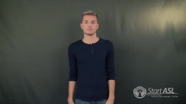 American Sign Language ASL Video Dictionary New Years american-sign-language-asl-video-dictionary-new-years