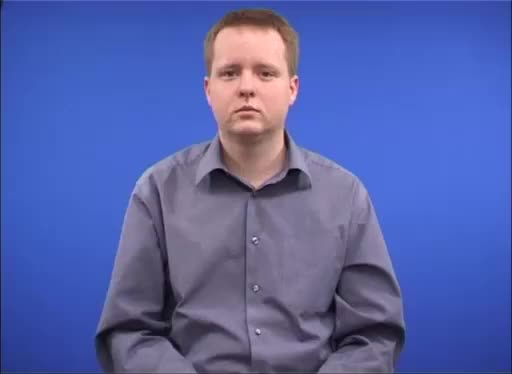 British Sign Language BSL Video Dictionary What Is It Like 